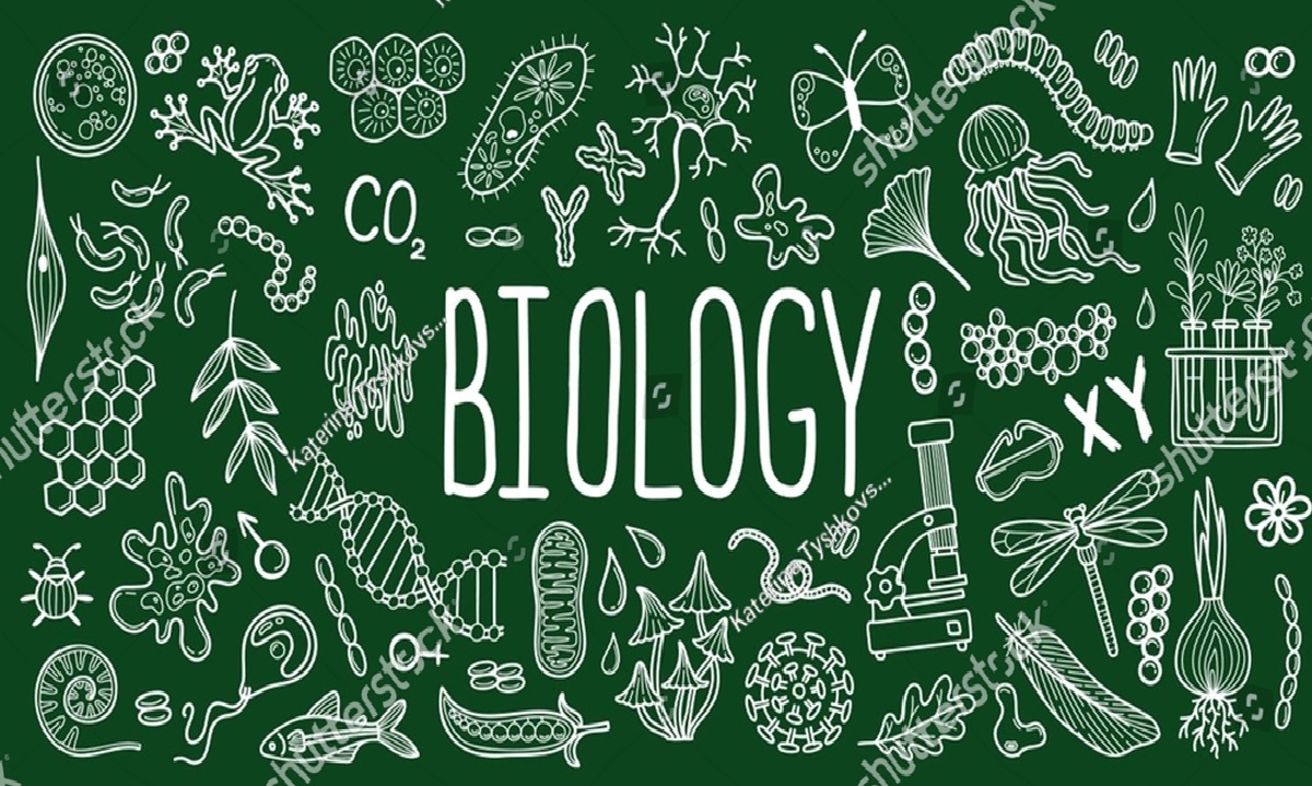 Edu-Tech-Setu - Professional Learning for Everyone